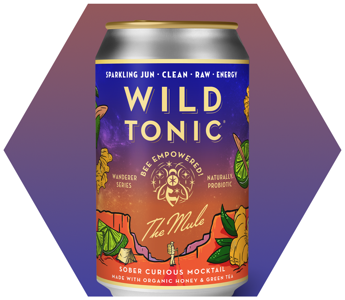 Sparkling Jun Made With Honey | WILD TONIC