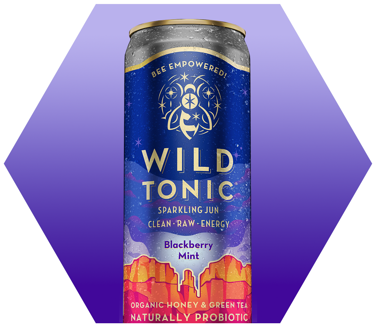Sparkling Jun Made With Honey | WILD TONIC