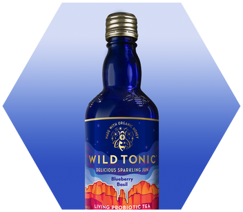 Sparkling Jun Made With Honey | WILD TONIC