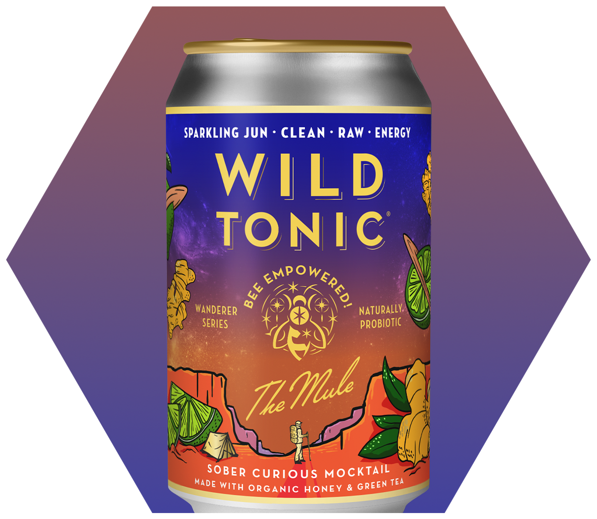 Sparkling Jun Made With Honey | WILD TONIC