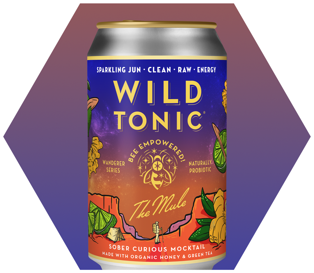 Sparkling Jun Made With Honey | WILD TONIC